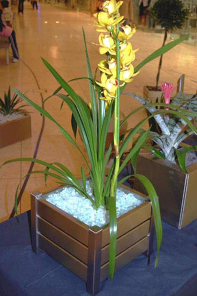 Cachepo em Inox Ruler Aço 304